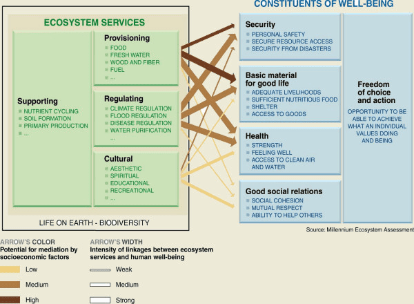 Human Environment Interaction - The Key to Our Survival