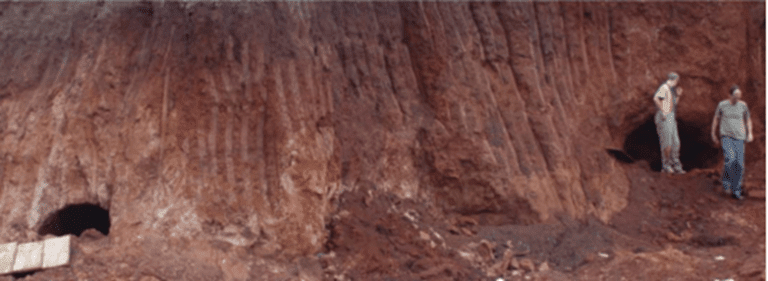 Giant Ground Sloths of the Ice Age - Enviropreneur