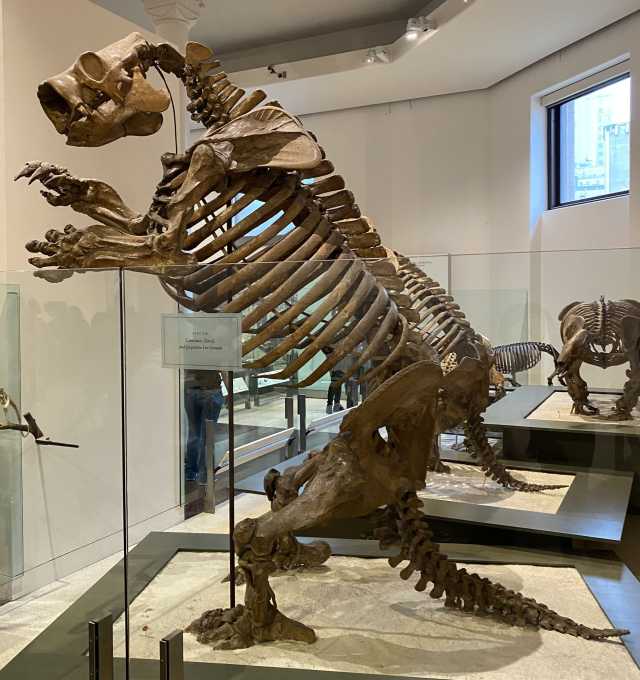 Giant Ground Sloths of the Ice Age - Enviropreneur
