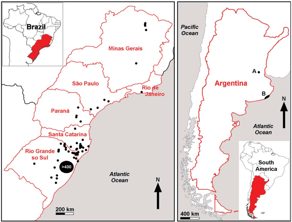 Giant Ground Sloths of the Ice Age - Enviropreneur