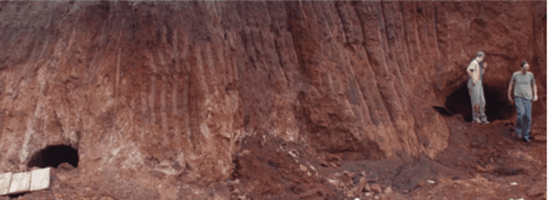 Giant Ground Sloths of the Ice Age - Enviropreneur