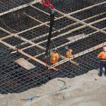 Giant Ground Sloths of the Ice Age - Enviropreneur