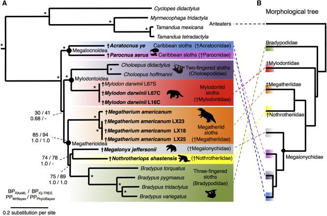 Giant Ground Sloths of the Ice Age - Enviropreneur