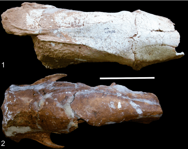 Giant Ground Sloths of the Ice Age - Enviropreneur