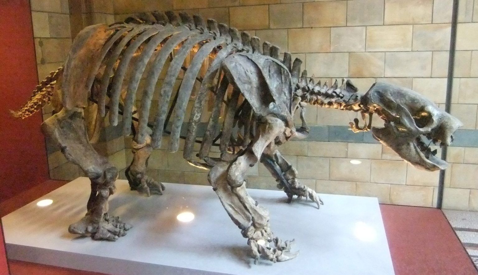 Giant Ground Sloths of the Ice Age - Enviropreneur