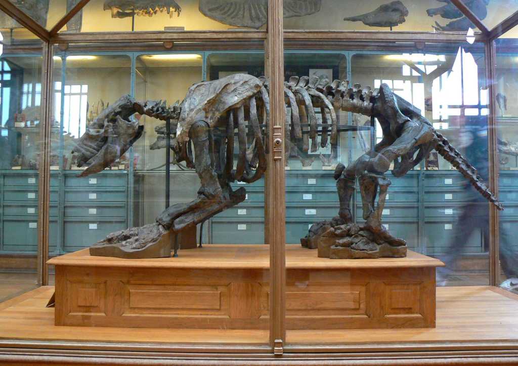Giant Ground Sloths of the Ice Age - Enviropreneur