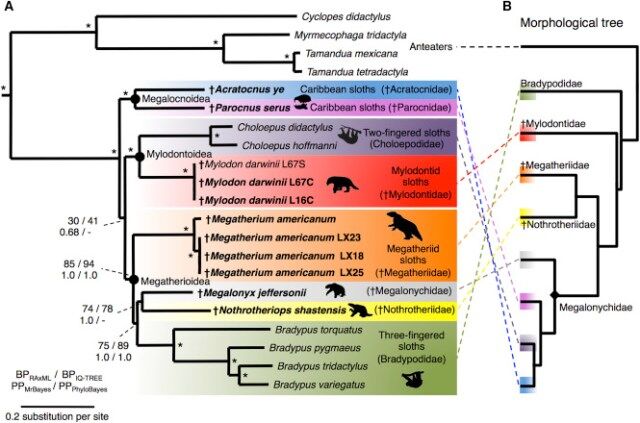 Giant Ground Sloths of the Ice Age - Enviropreneur