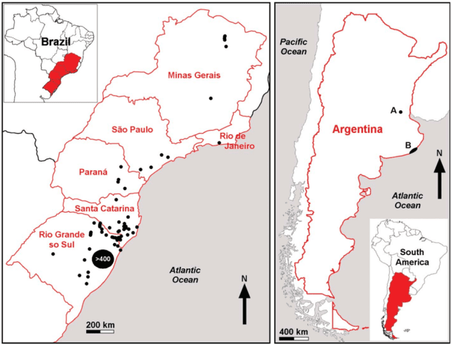 Giant Ground Sloths of the Ice Age - Enviropreneur